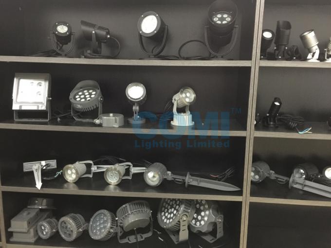 China COMI LIGHTING LIMITED company profile