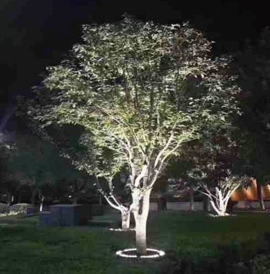 Recessed Circular LED Underground Light For Circular Column / Parterre ...